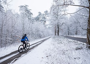 Does cycling in winter have real health benefits? Expert weighs in ...